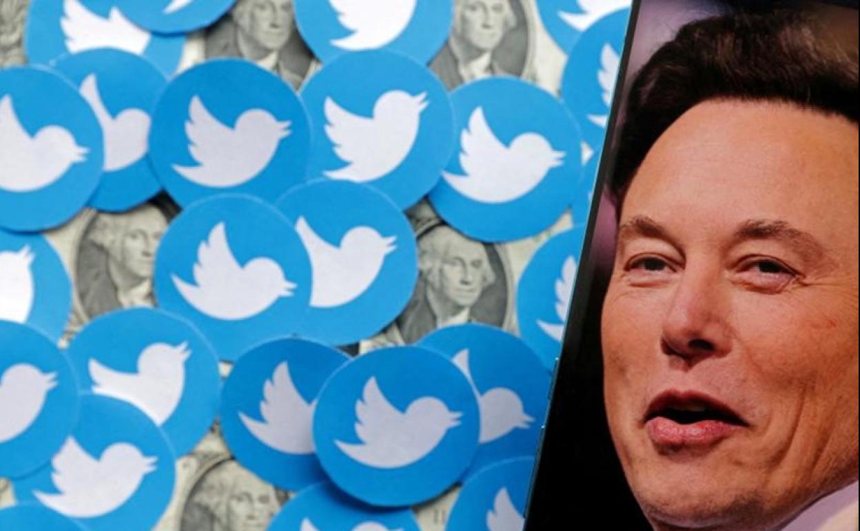 Twitter Un Pájaro Liberado El Correo